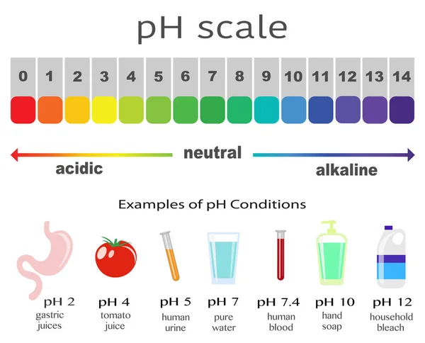 Ph Examples In Everyday Life