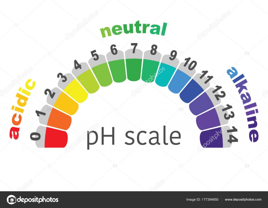 Escala de valor ph para soluciones ácidas y alcalinas, equilibrio ácido ...