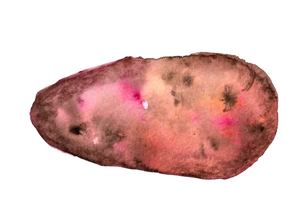103 Pink potato Stock Illustrations | Depositphotos