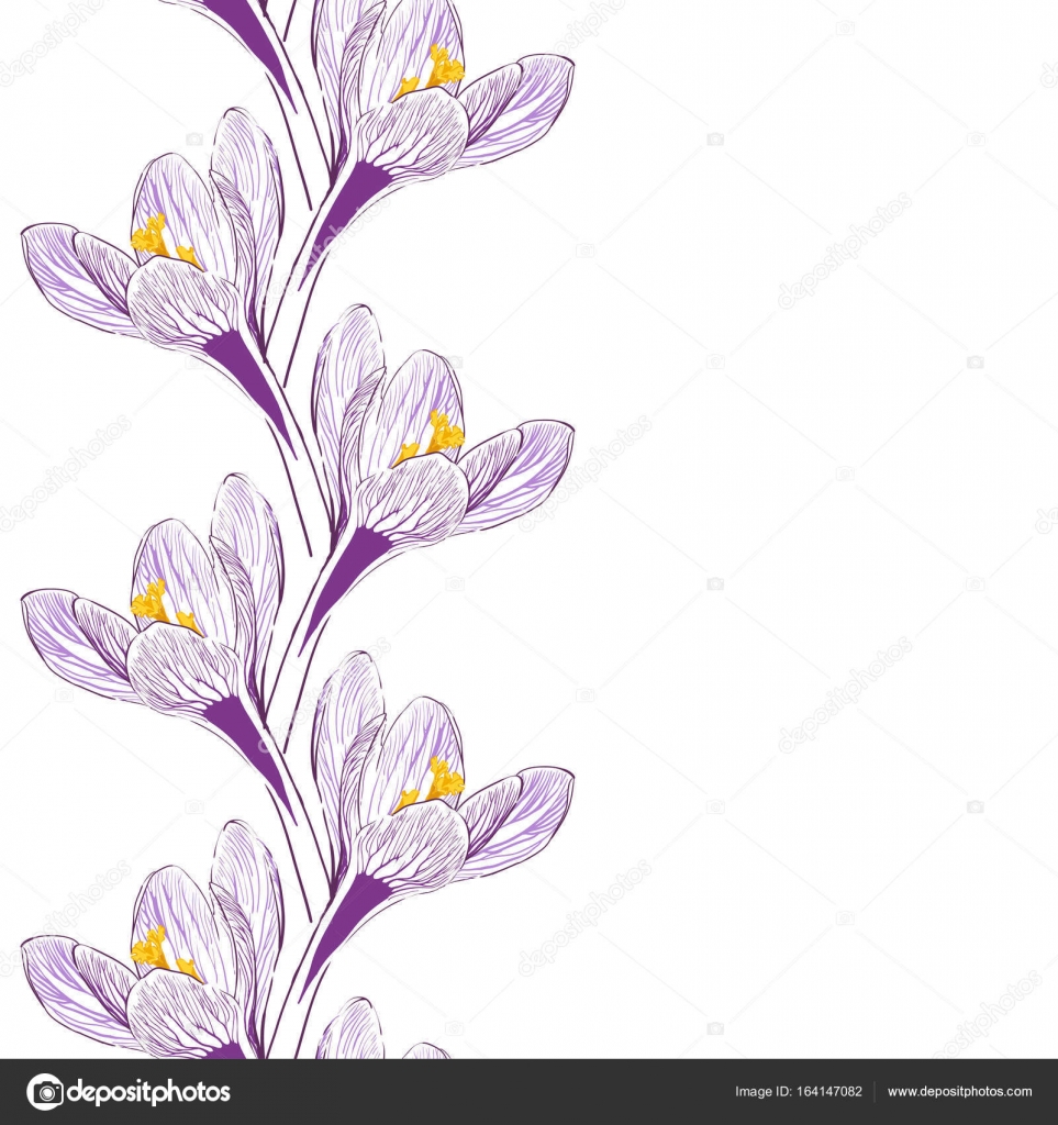Flower of saffron Stock Vector by ©shoshina 164147082