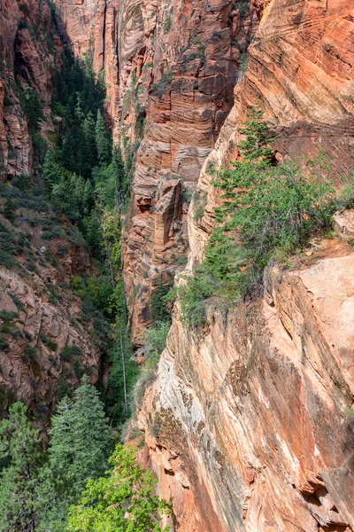 Zion Canyon Switchback Trail — Stock Photo © Wirepec #10968536