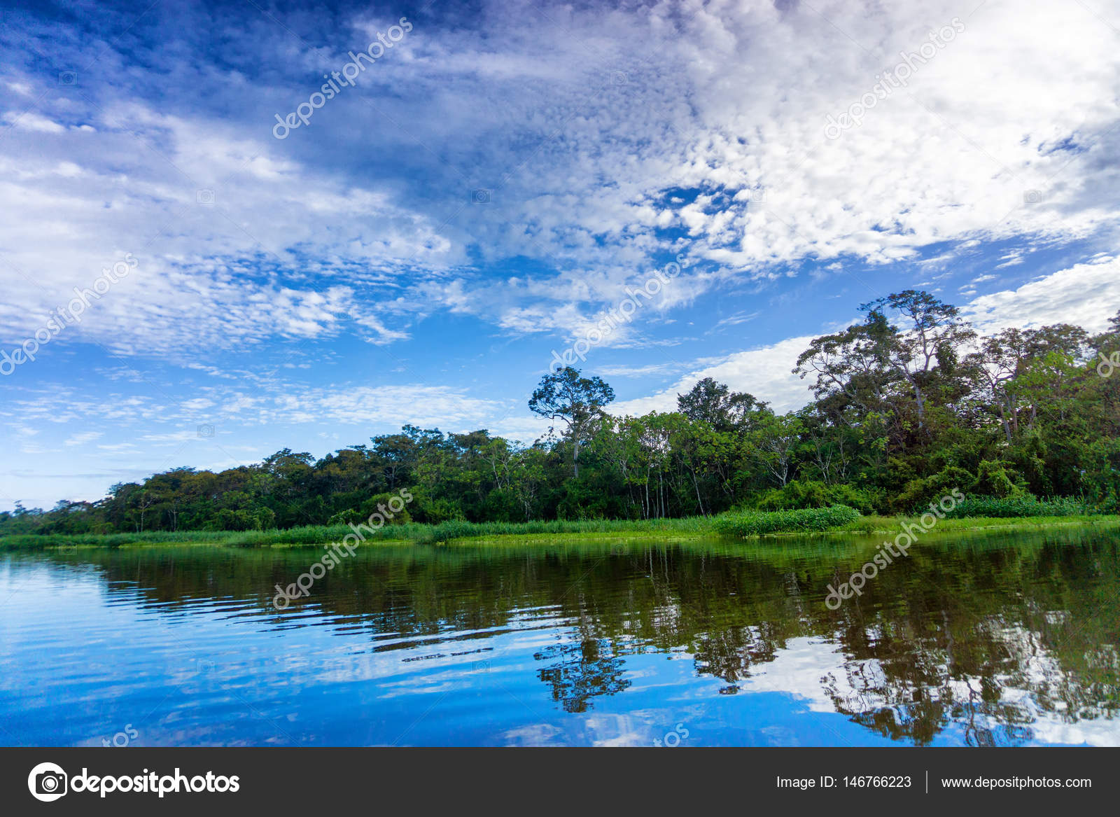 Hermoso paisaje amazónico: fotografía de stock © jkraft5 #146766223 ...