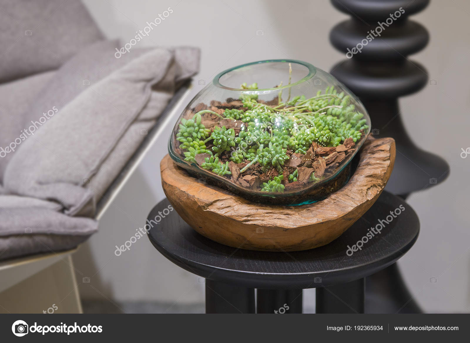 Beautiful glass florarium with succulents and with wooden decor in the ...