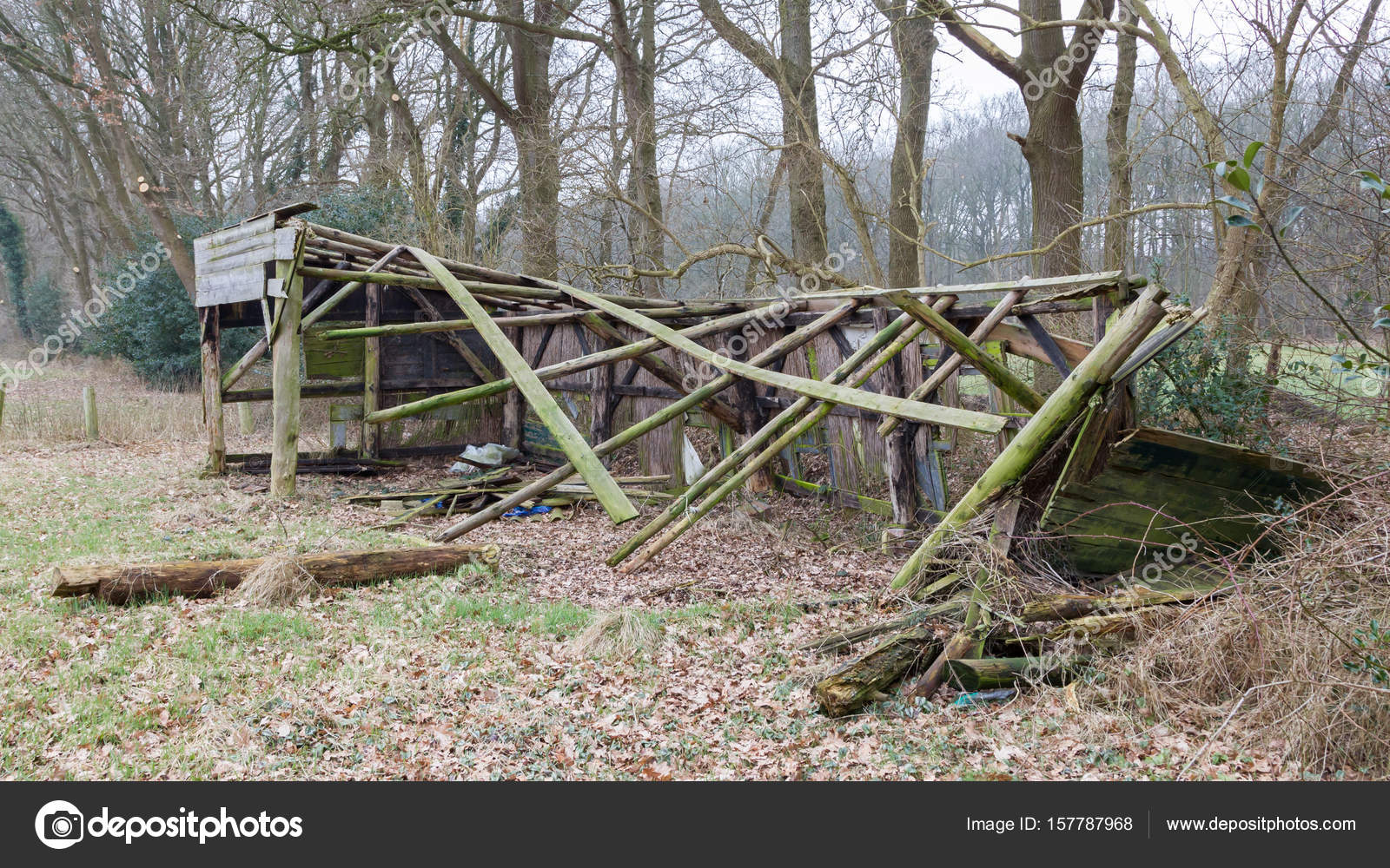 Collapsed, old hut in the forest Stock Photo by ©michaklootwijk 157787968