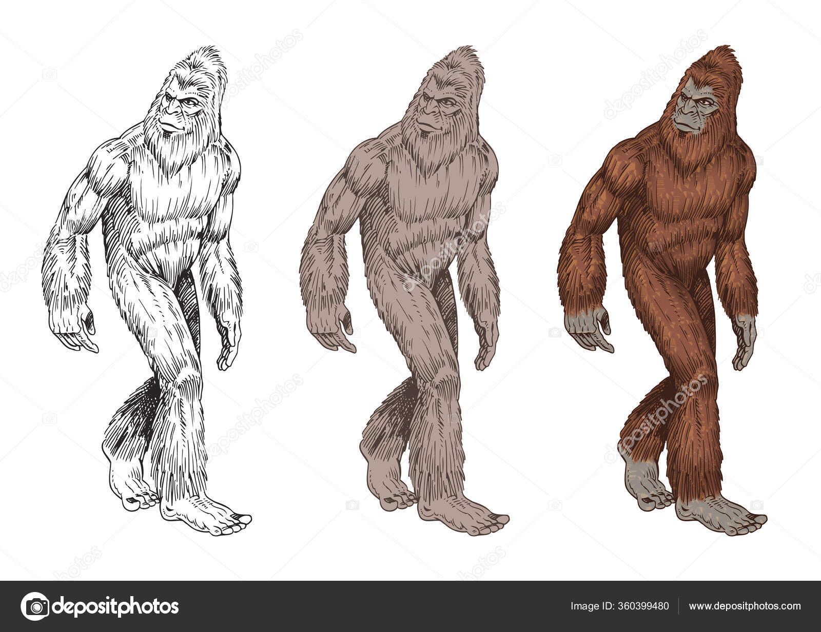 Bigfoot Hand Drawn Illustration Three Versions Stock Photo by ©gmagakis ...