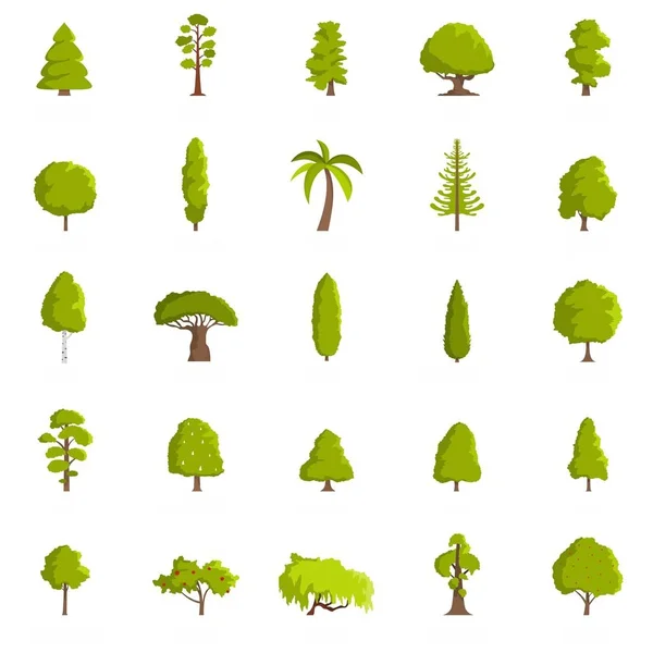 ᐈ Sequoia tree stock icon, Royalty Free sequoia tree icons vectors ...