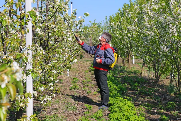 Spraying trees Stock Photos, Royalty Free Spraying trees Images ...