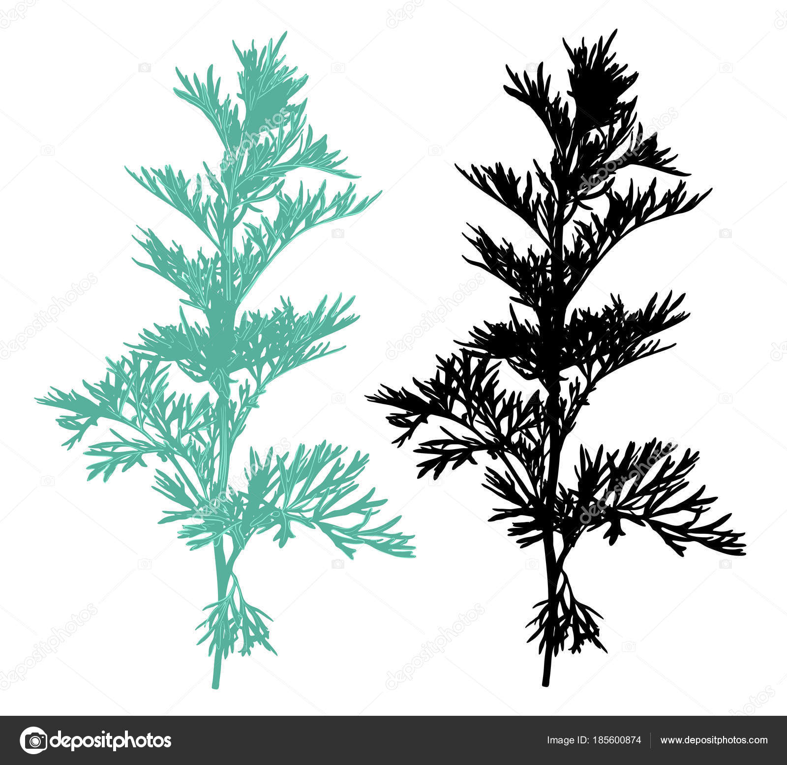 Hand drawn sagebrush silhouette. Stock Vector Image by ©7romawka7 ...