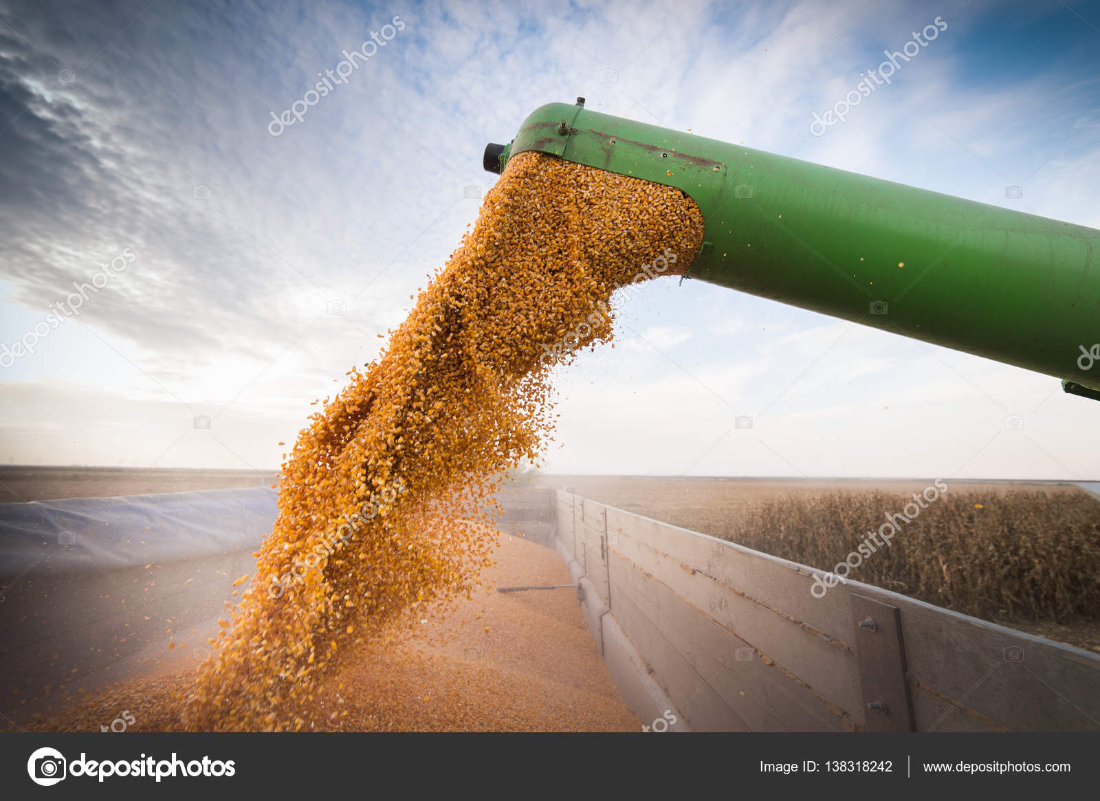 Pouring corn grain into tractor trailer — Stock Photo © fotokostic ...