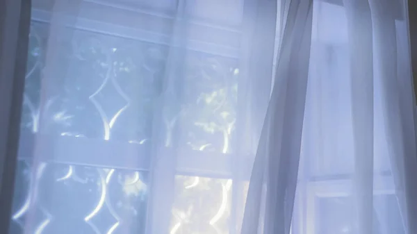 Transparent windows Images - Search Images on Everypixel