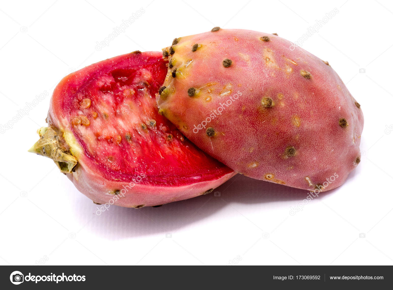 Dibujo De Fruta De Tuna