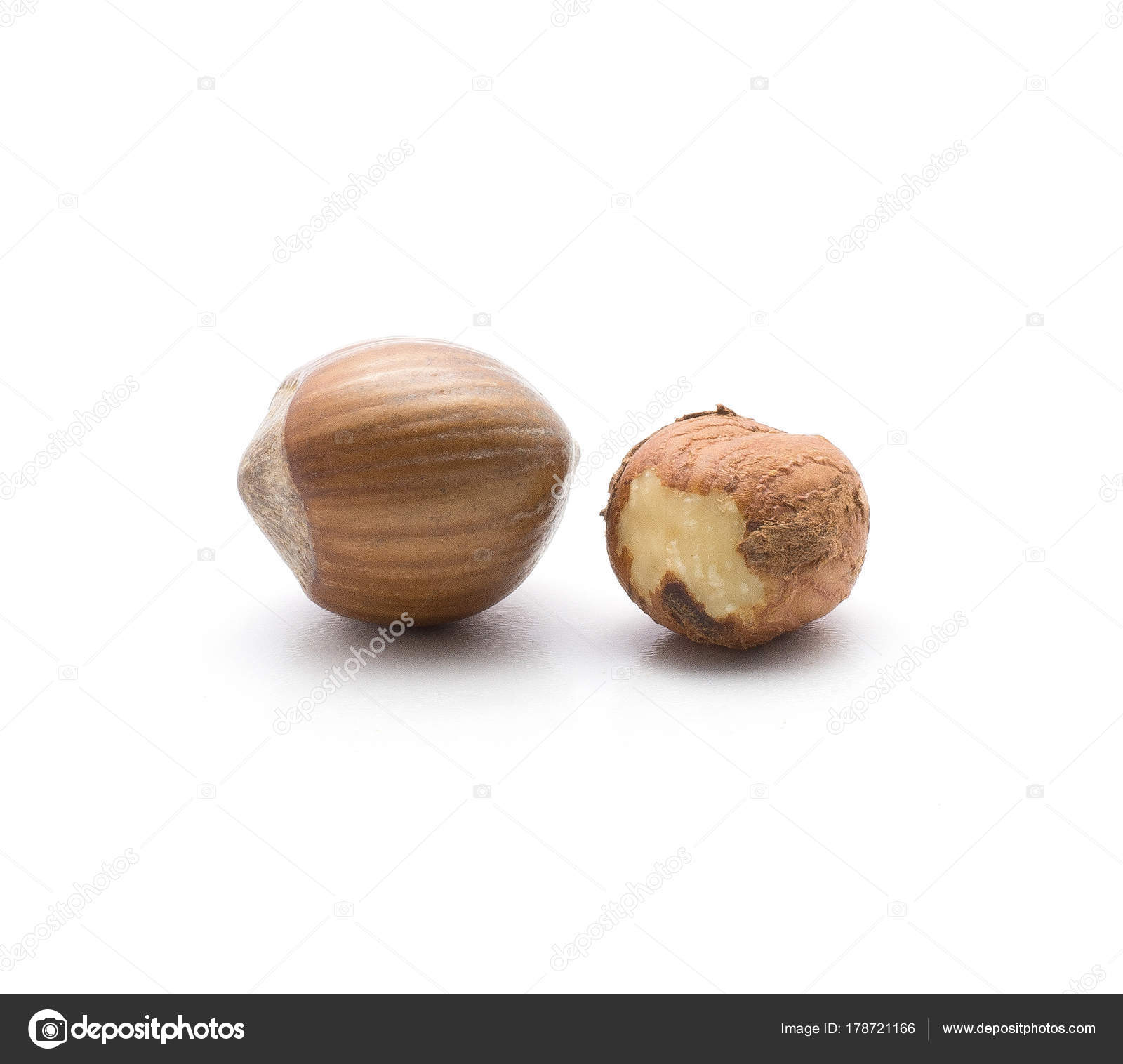 Two Hazelnuts Isolated White Background Shelled Unshelled Compar Stock ...
