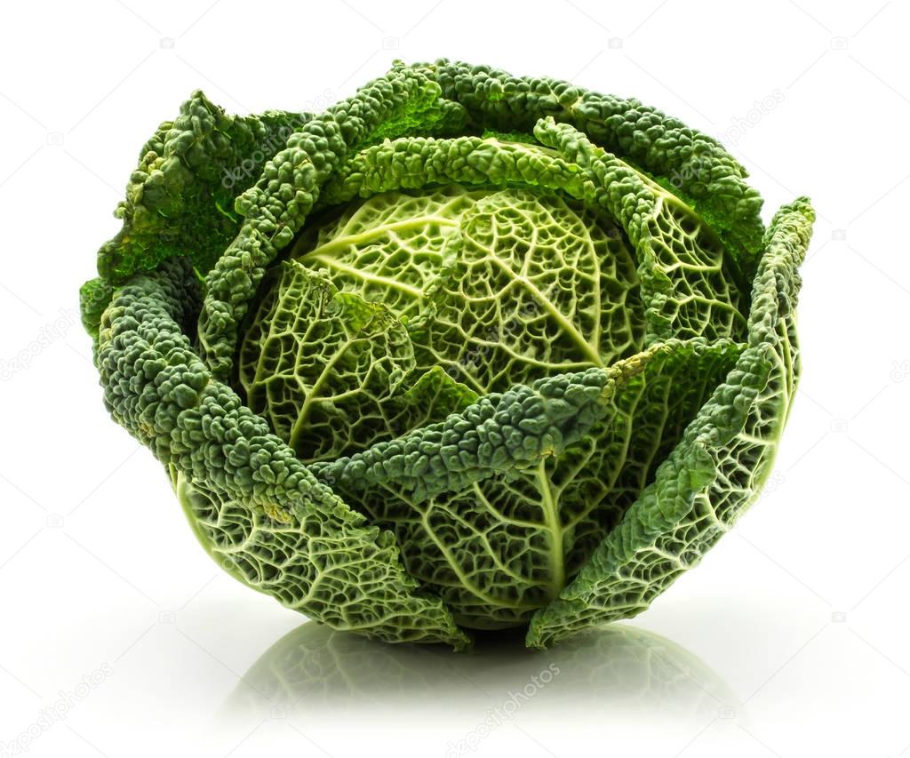 Un repollo savoy aislado sobre fondo blanco hea verde fresco 2022