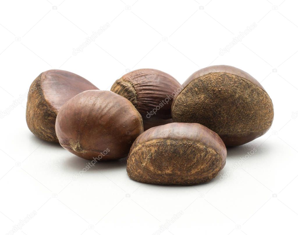 Five European Chestnuts Set Spanish Edible Isolated White Background ...