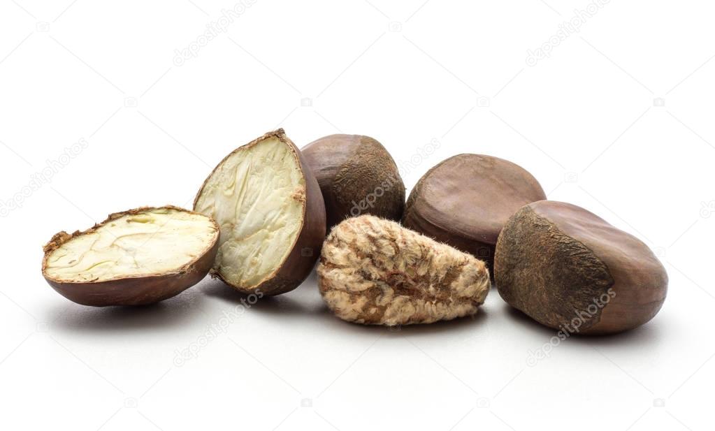 Conjunto castaño europeo comestible español aislado sobre fondo blanco ...