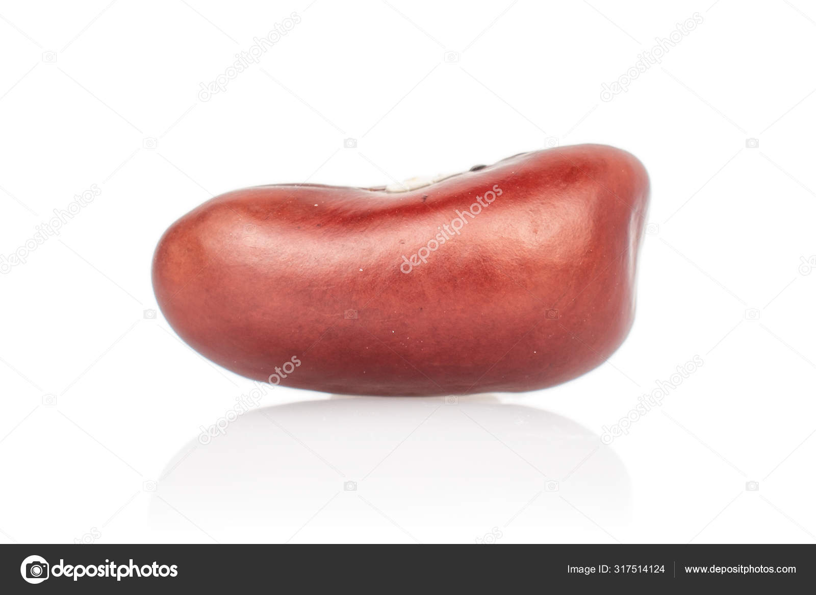 Single Kidney Bean
