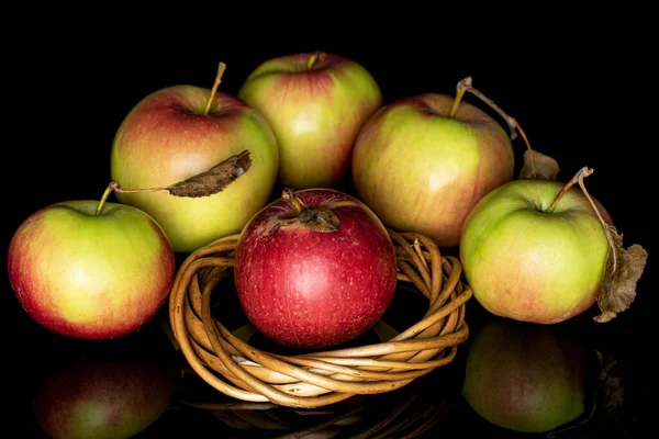 Group of six whole fresh garden apple with wicker ring made of twigs ...