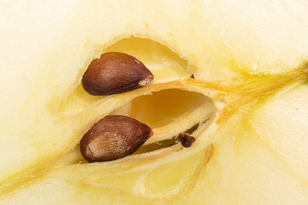 Apple Seeds Images - Search Images on Everypixel