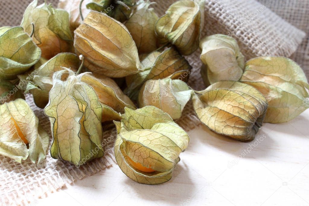 Fruta de la physalis peruana, originaria de la región andina 2024