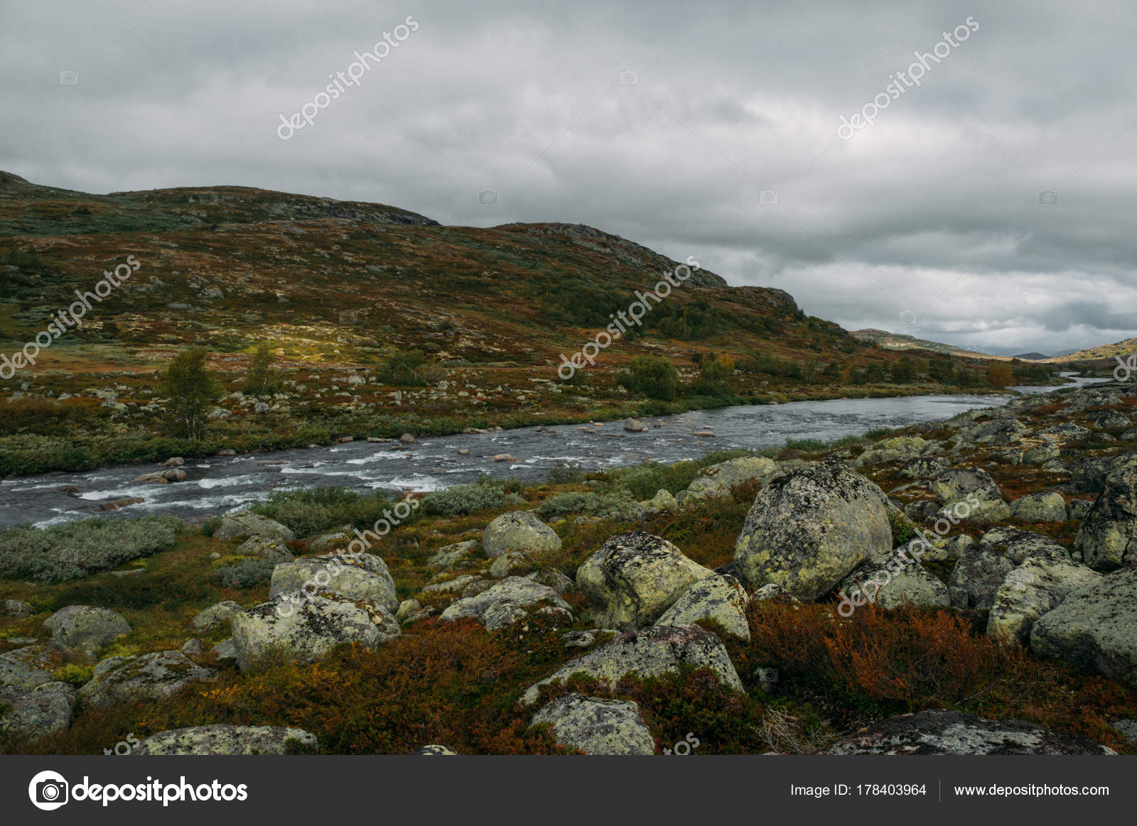 River Stream Going Stones Hills Field Norway Hardangervidda National ...
