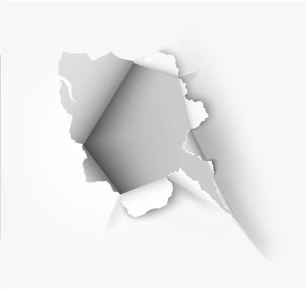 Hole torn in ripped paper — Stock Vector © PanaceaDoll #174683530