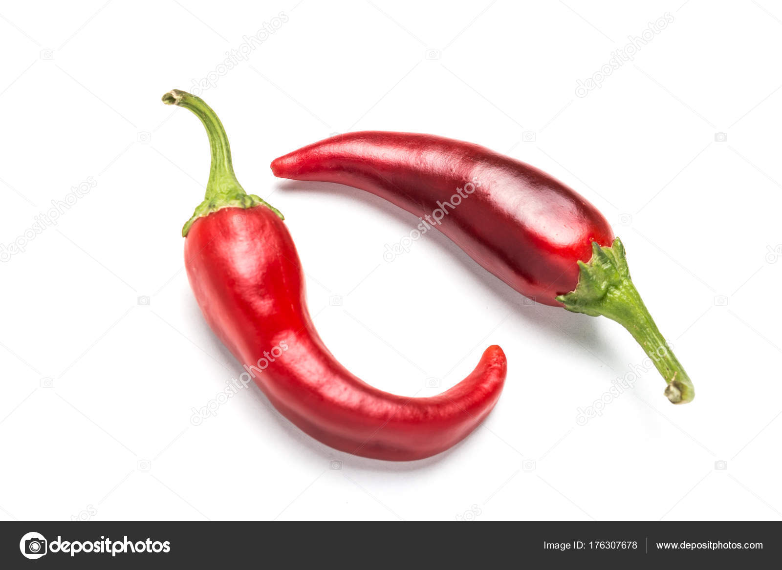 Two chili peppers lie opposite each other on a white background ...