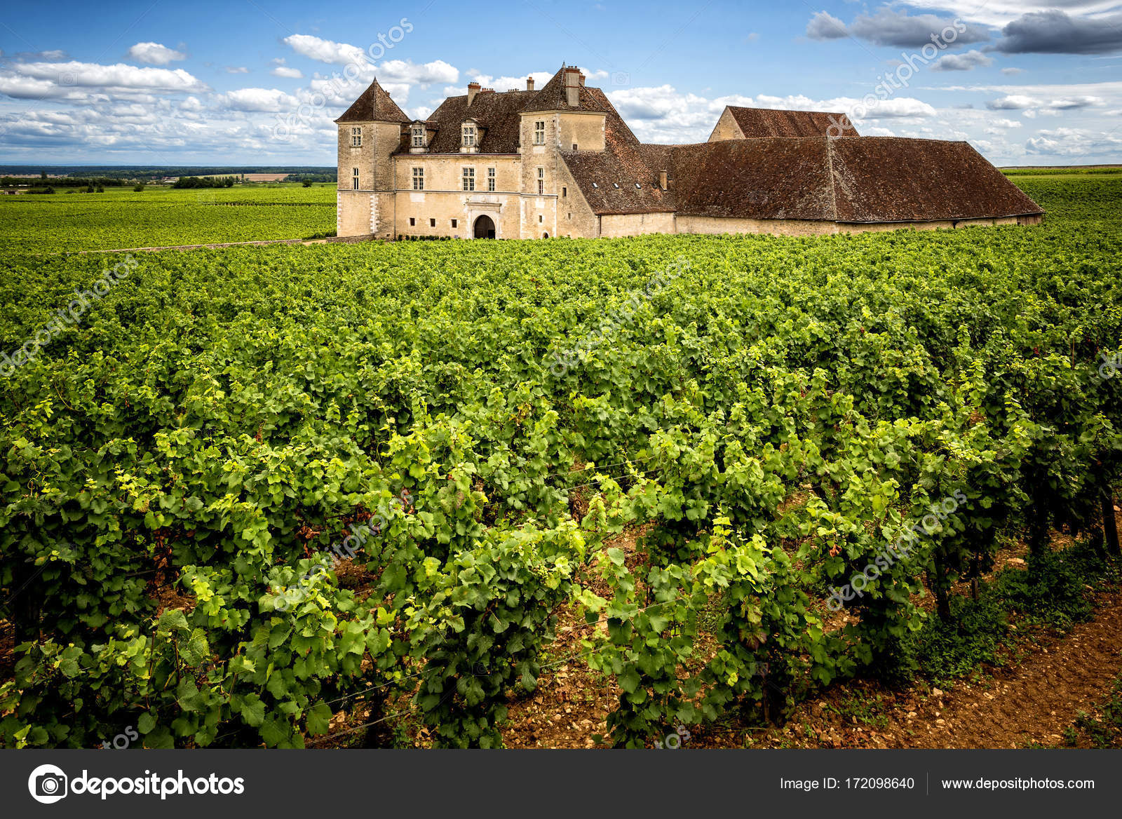 Chateau with vineyards, Burgundy, France Stock Photo by ©massimosanti ... Chateau with vineyards, Burgundy, France Stock Photo by ©massimosanti ...