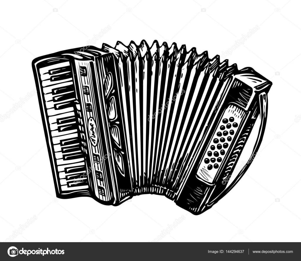 accordeon vector