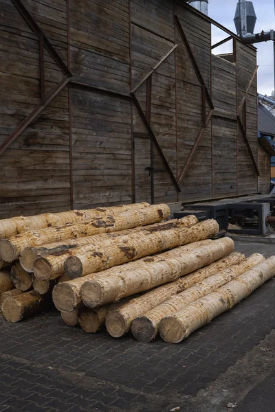 A pile of logs lie on a forest platform, a sawmill. Processing of ...