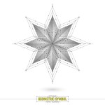 Vector Star Geometric Symbol Art Illustration Stock Vector by ...