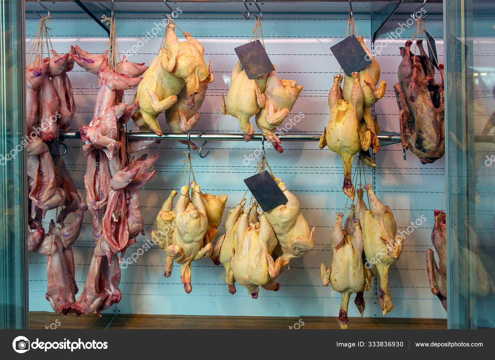 Selling poultry, farm poultry at the grocery store Stock Photo by ...