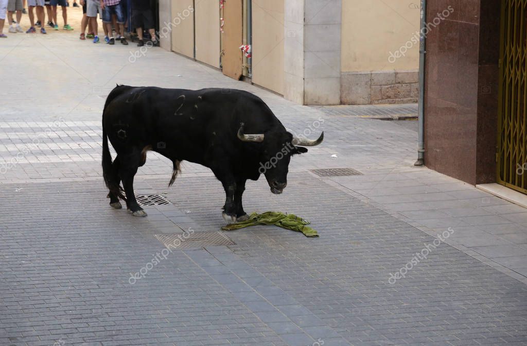 Un toro persiguiendo a la gente durante las vacaciones de Encierro. Un ...