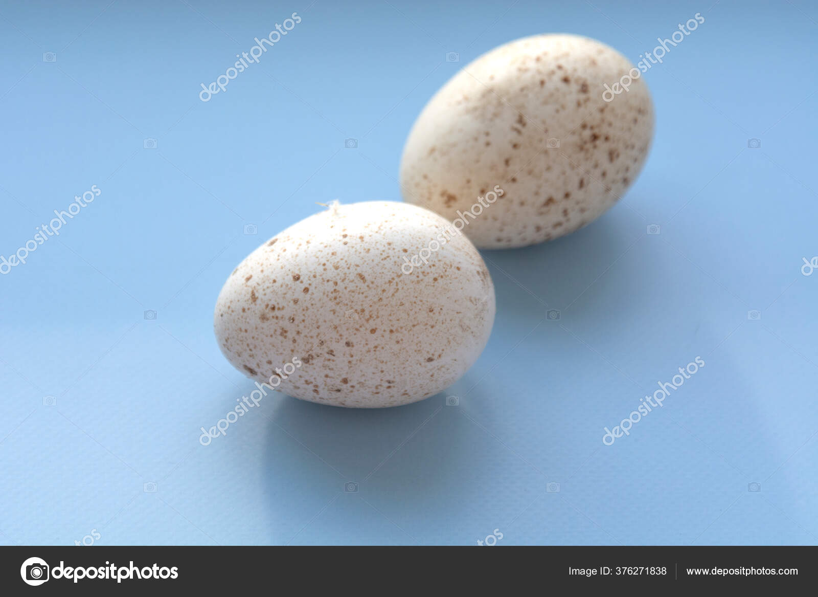 Big Turkey Egg Light Background — Stock Photo © alle2009 #376271838