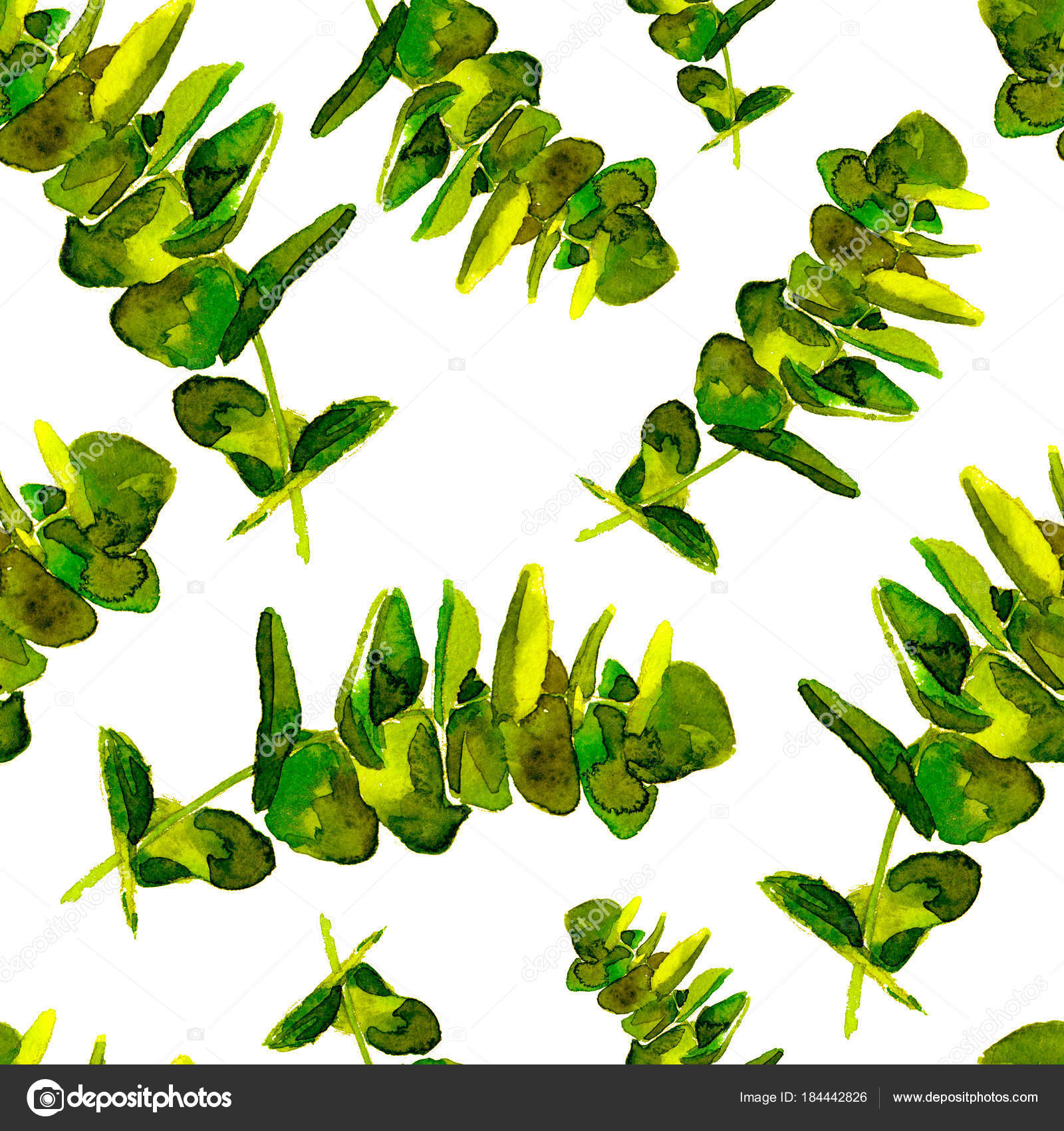 Eucalyptus Greenery Leaves Seamless Pattern. — Stock Photo ...