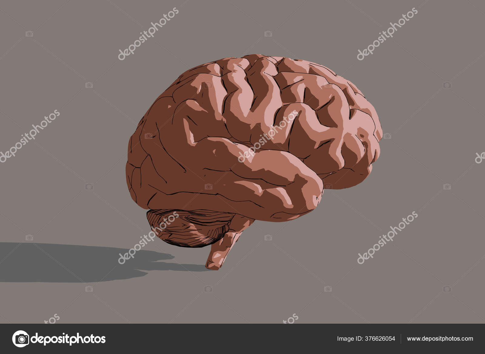 Illustration Human Brain Dark Background Stock Photo by ©Amaviael 376626054