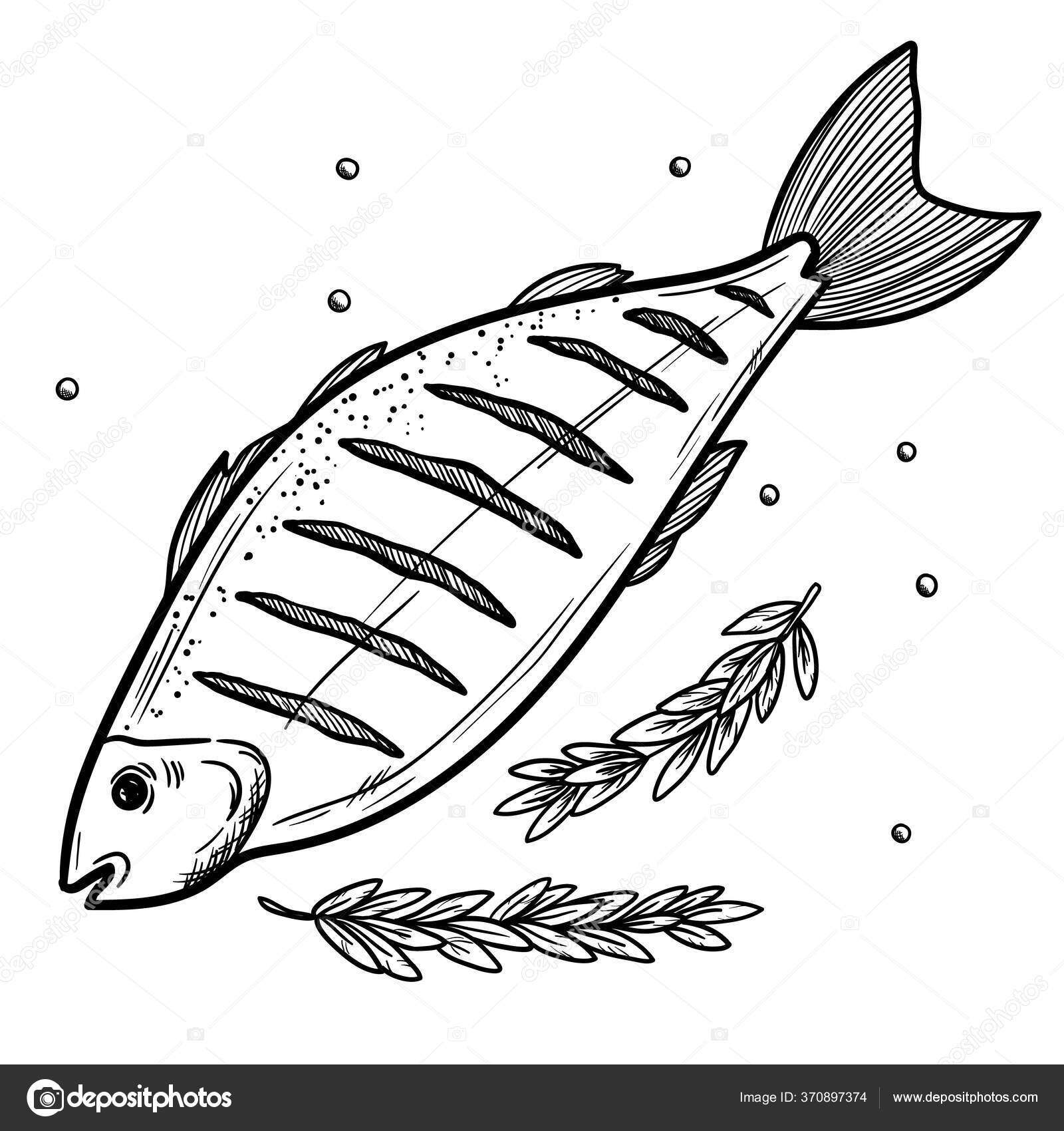 Grilled Fish Drawing
