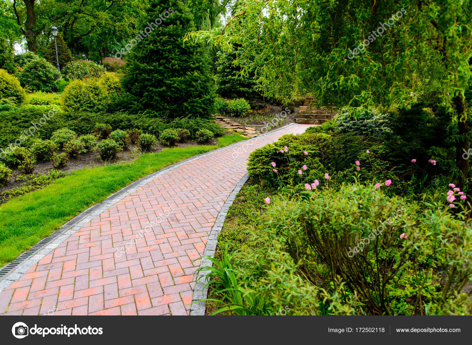 Landscape design. Green beautiful trees and paving slabs — Stock Photo ...