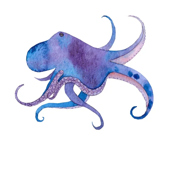 Pink Octopus Watercolor Illustration White Background Tattoo Sketch ...