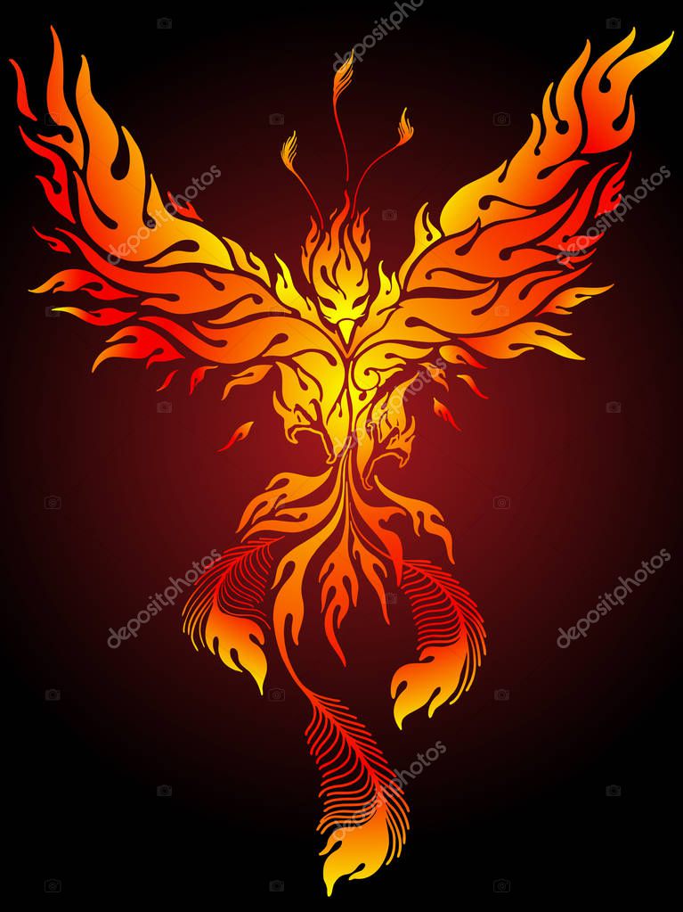 Flaming Phoenix vector ilustración ideal para el arte corporal o ...