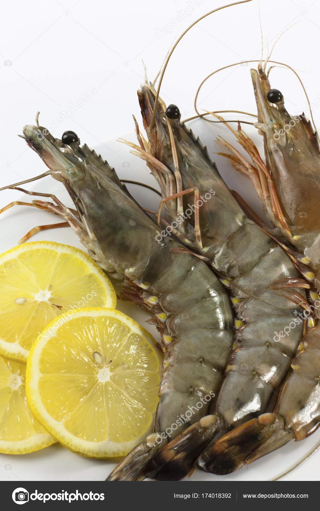 Raw Black Tiger Prawns Penaeus Monodon Shrimp Lemon Plate Ready Stock ...