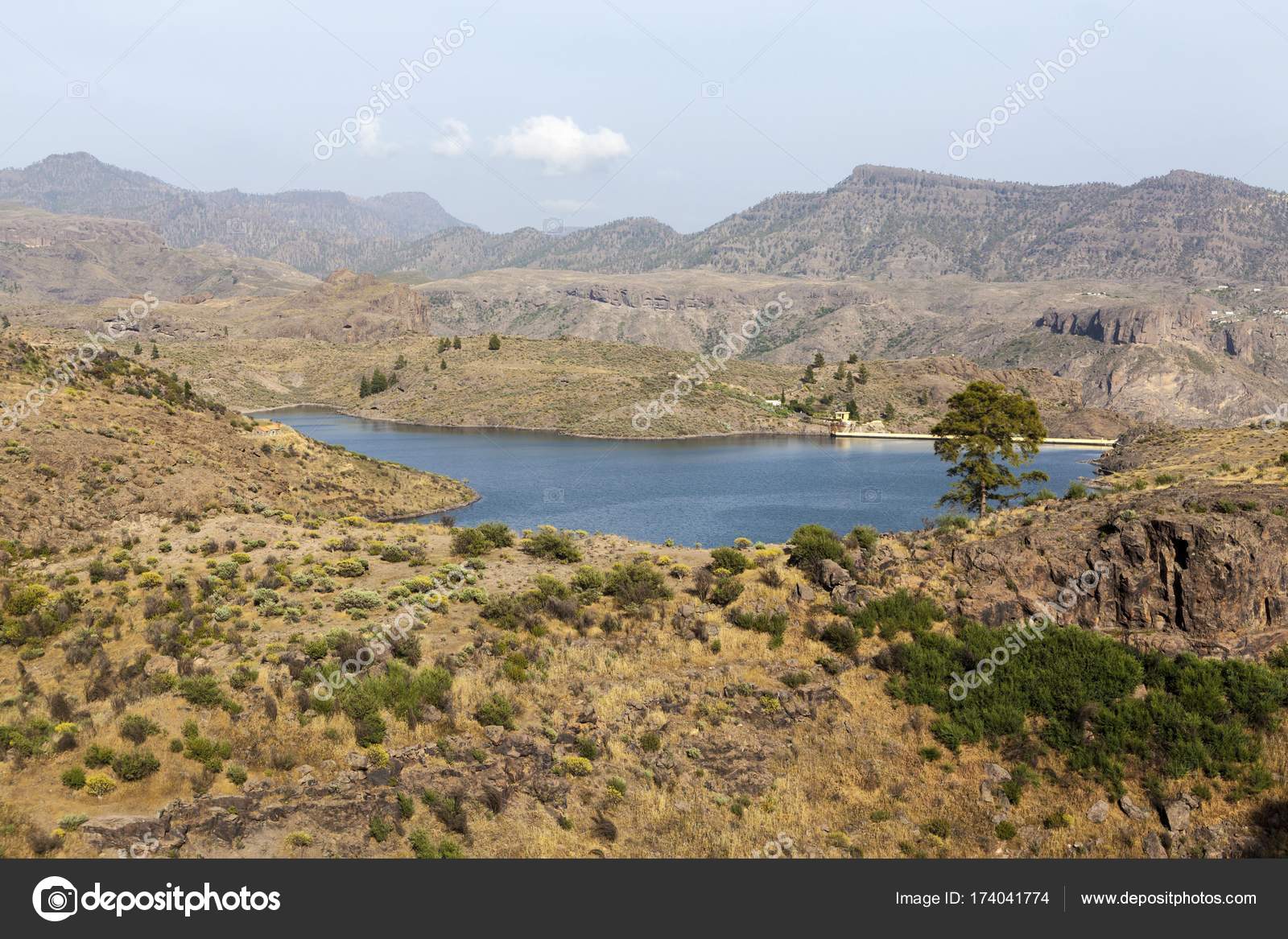 Lake Juncal Small Reservoir Pinar Pajonales National Park Roque ...