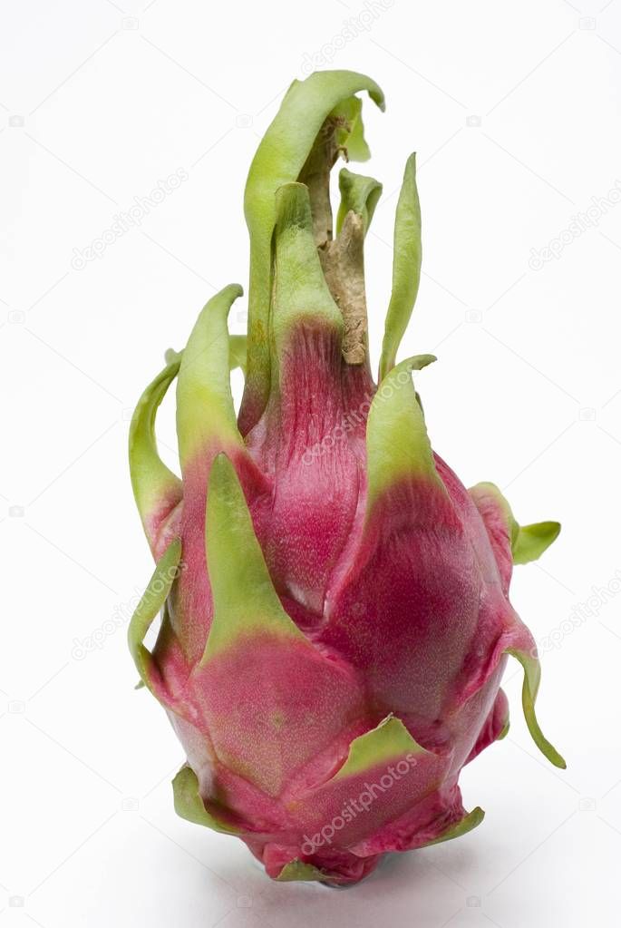 Pitaya roja o fruta del dragón, Hylocereus undatus 2023