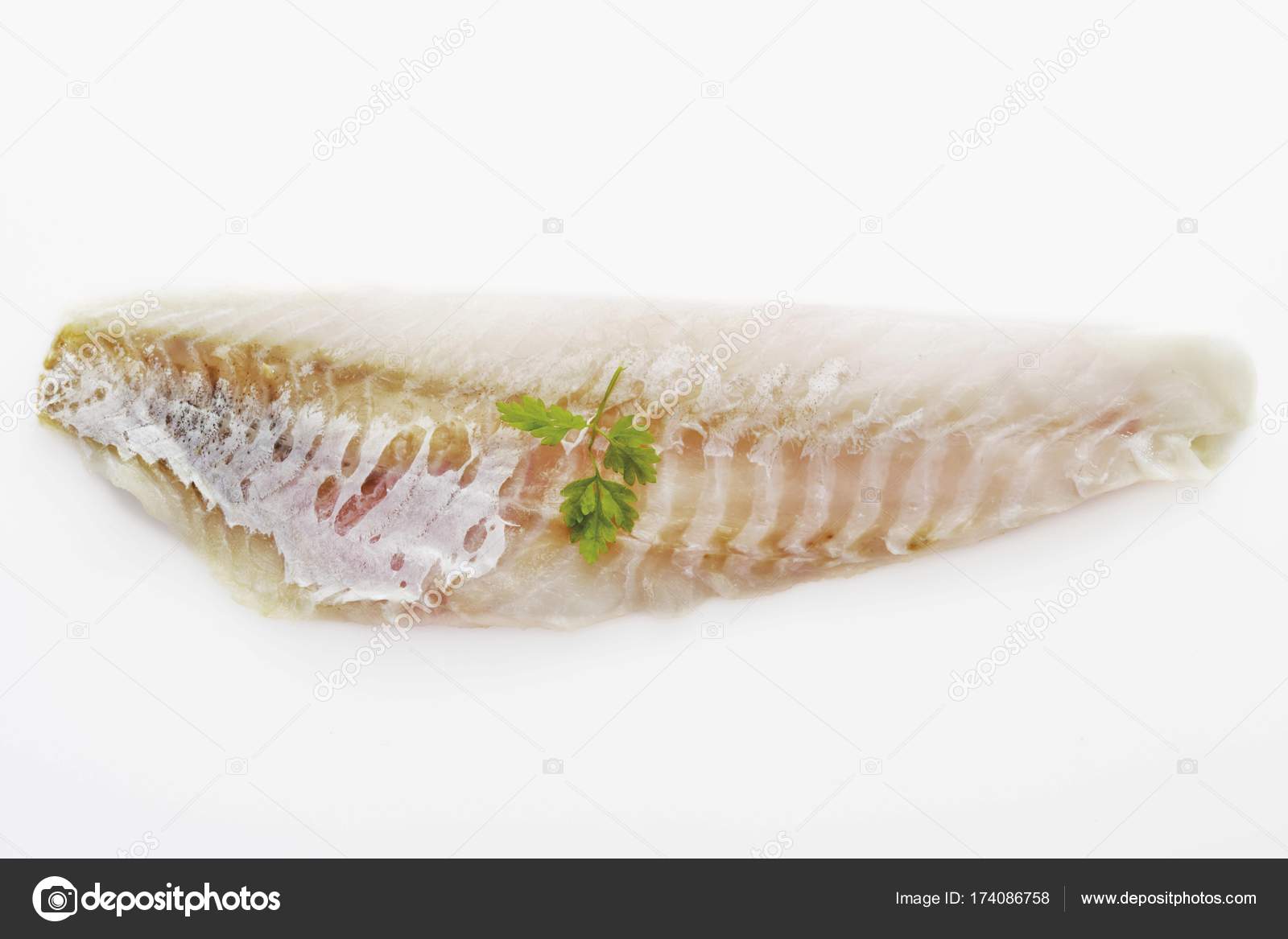 Raw Redfish Fillet White Background — Stock Photo ...