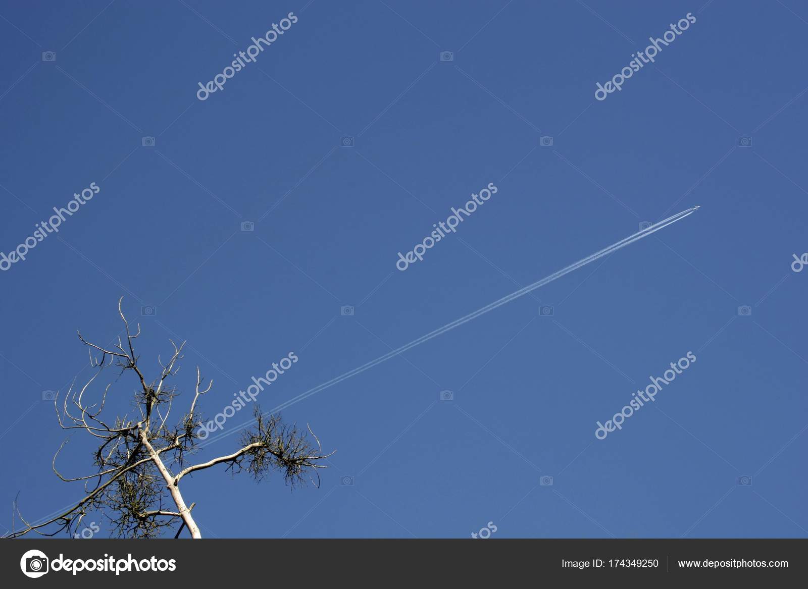 Jet Plane Tree — Stock Photo © imagebrokermicrostock #174349250
