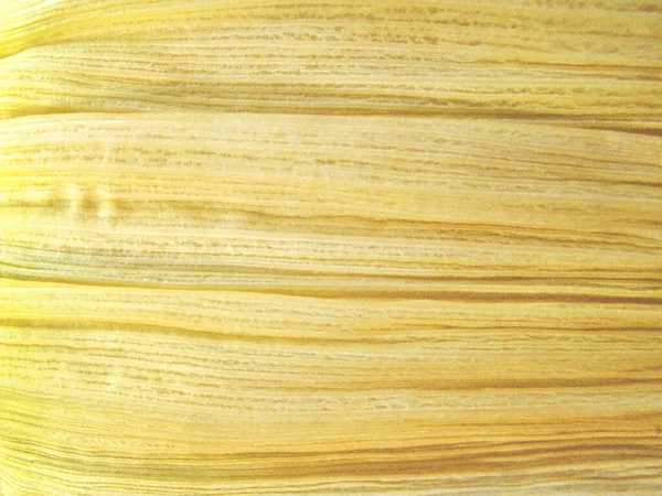 Texture Corn Skin Peel — Stock Photo © logomimi #366253986