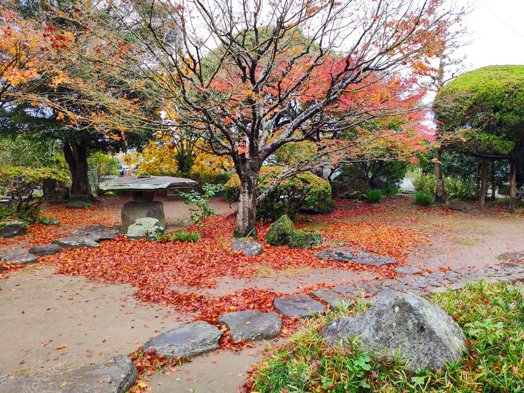 Kitsuki, Japón - 28 de noviembre de 2019: Tradicional jardín japonés de ...
