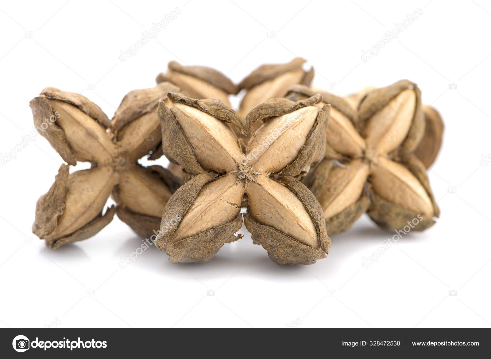 Nuts Incas , sacha inchi peanut seed an isolated on white backgr Stock ...