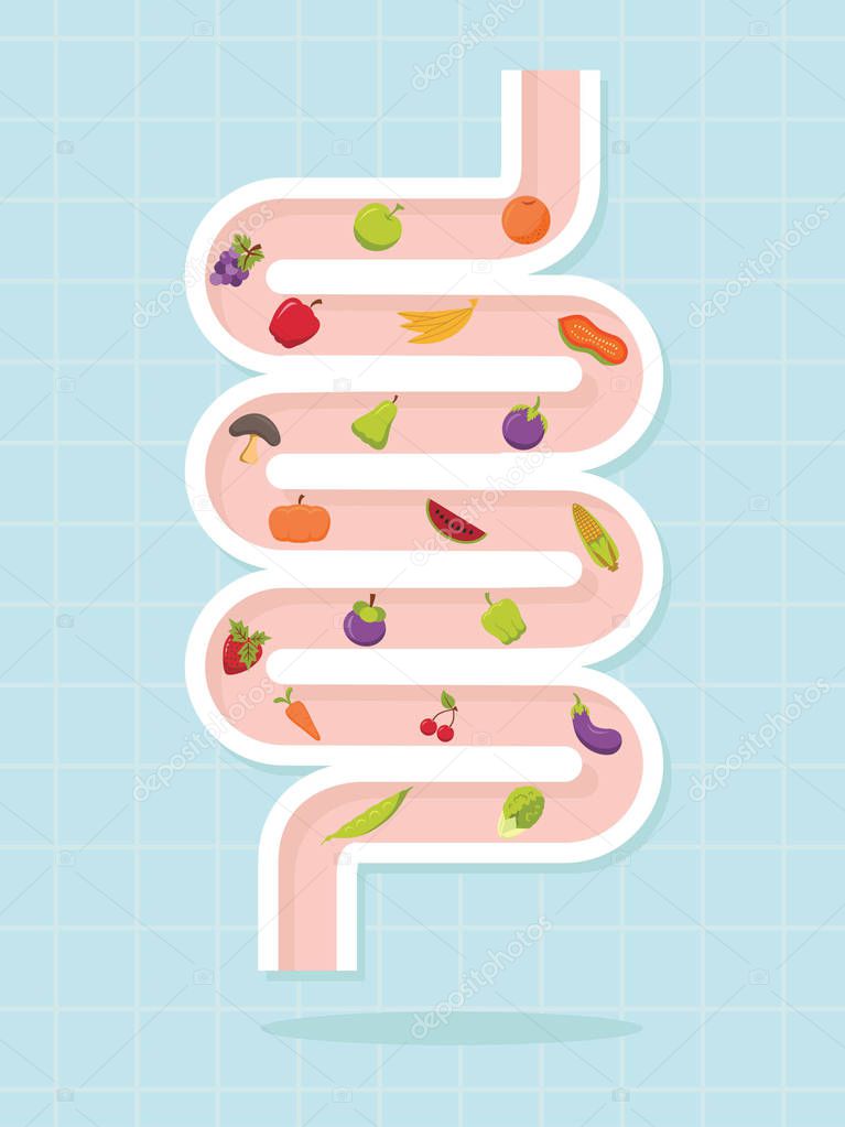 Diseño del vector intestinal, concepto saludable 2023