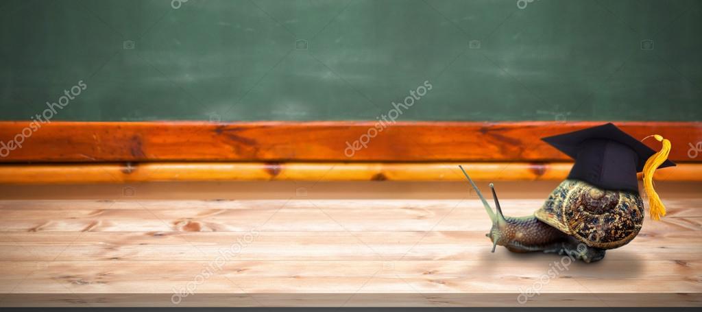 Snail in graduation hat Stock Photo by ©Wavebreakmedia 125841726
