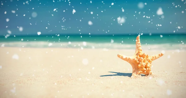 Christmas starfish Stock Photos, Royalty Free Christmas starfish Images ...